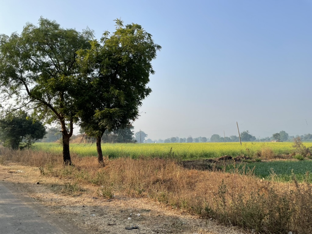 Rosad Village, Madhya Pradesh - Heart of India